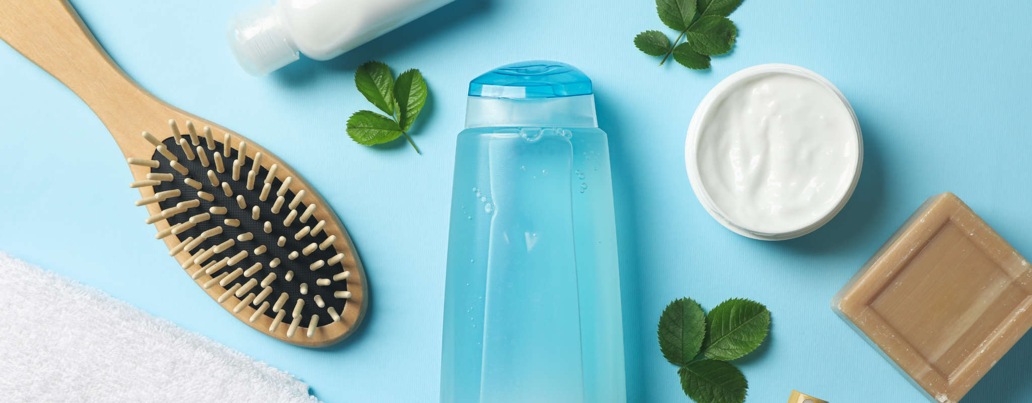 Bioform Biopolymers - EcoSynthetix